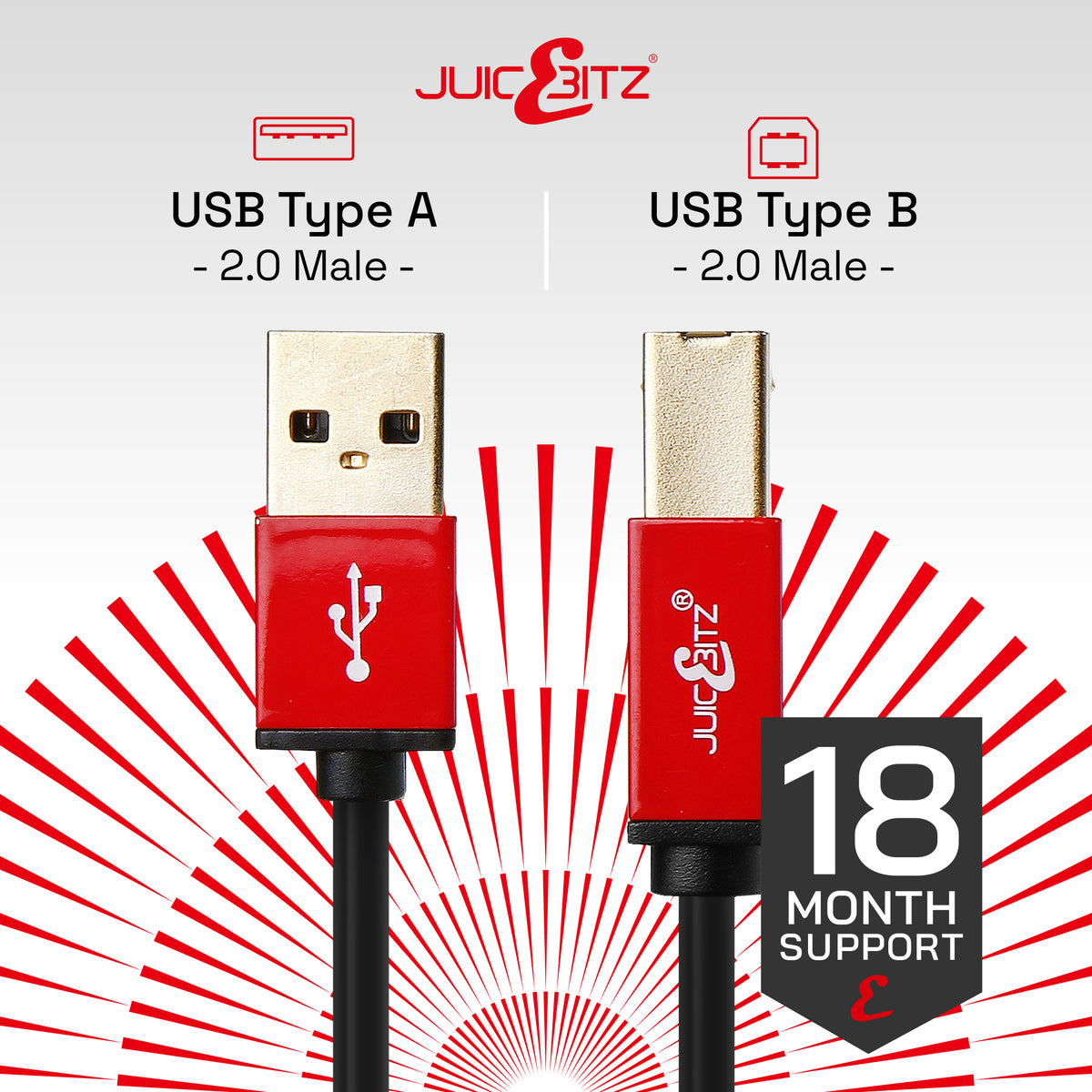 Premium USB 2.0 Type A to Type B Male Shielded Printer Cable