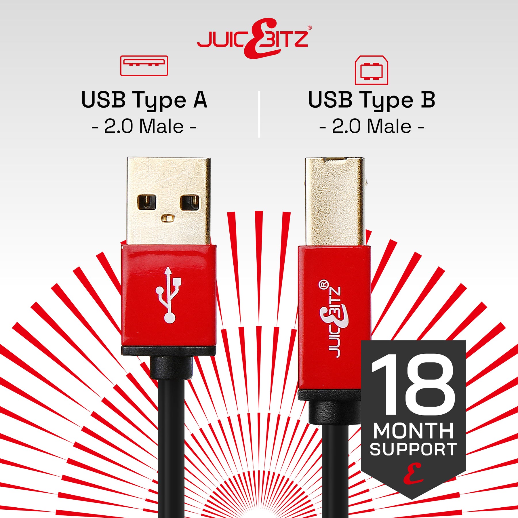 Premium USB 2.0 Type A to Type B Male Shielded Printer Cable